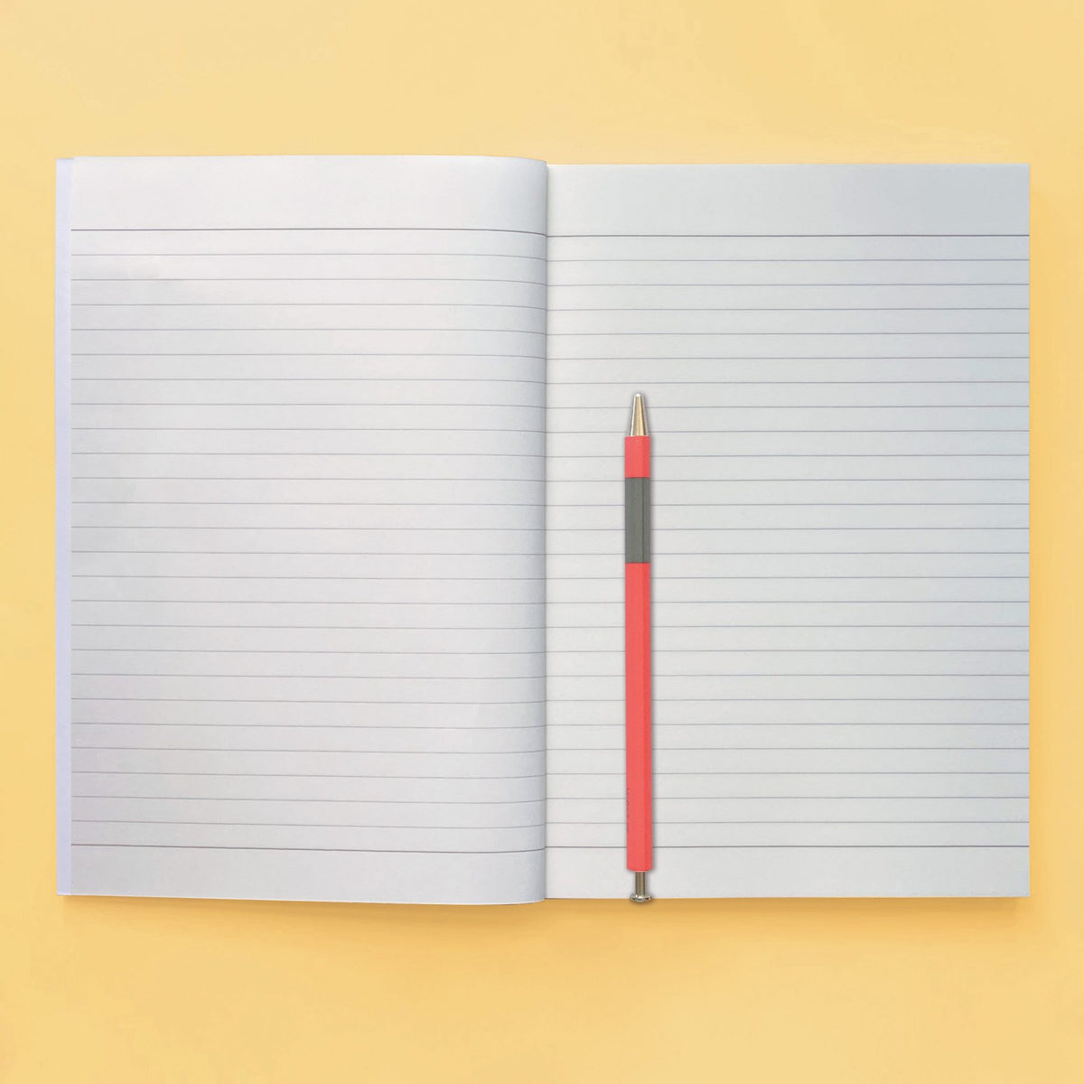 Set of 2 A5 Funky Guinea Pigs Notebooks (Copy) – Uneeka